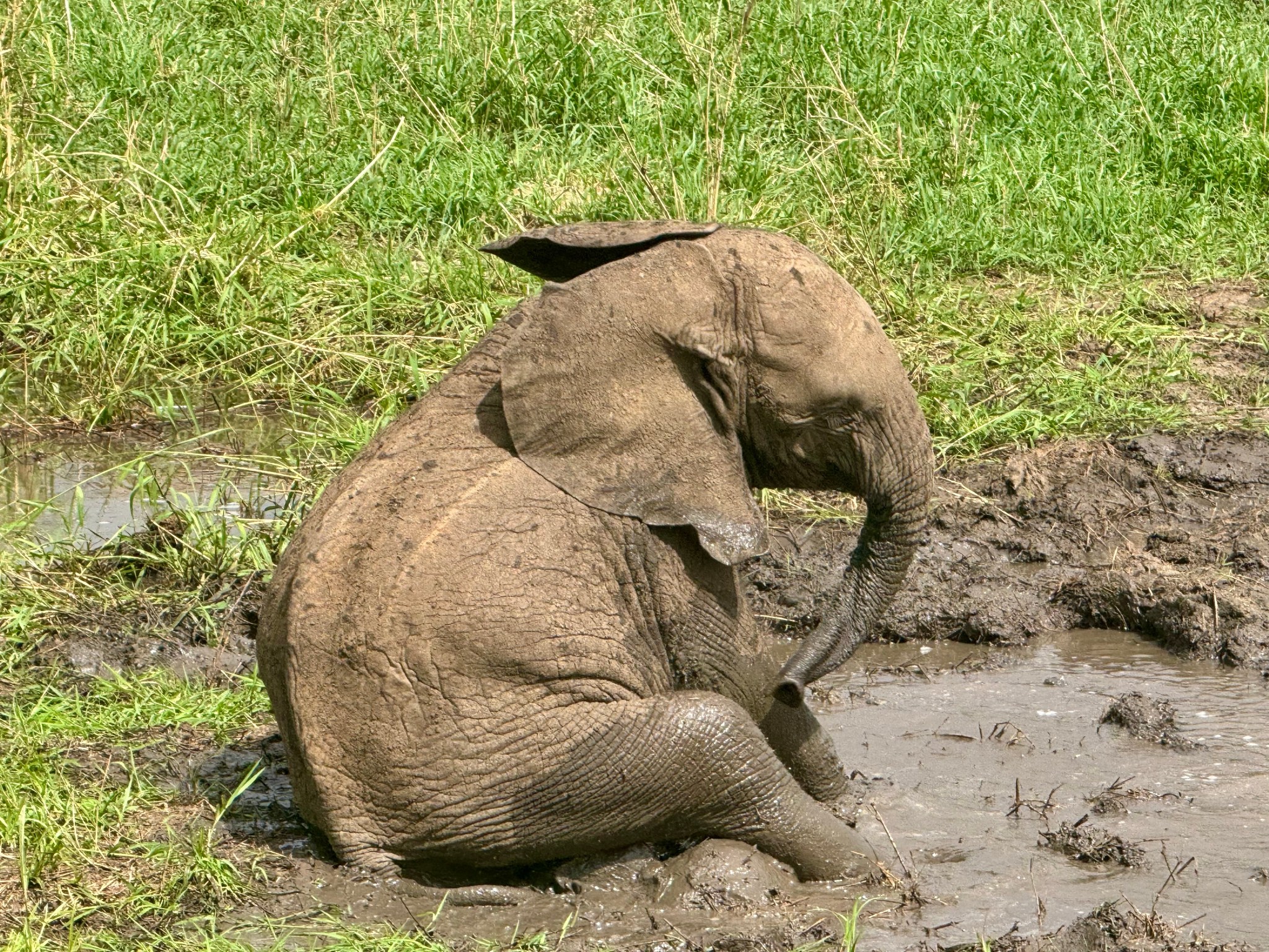 Tanzania – Tarangeri – Jeff's Travel And Photo Blog